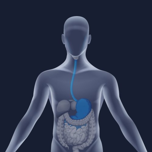 Endoscopia Digestiva Alta – Dr. Luis García Arrona